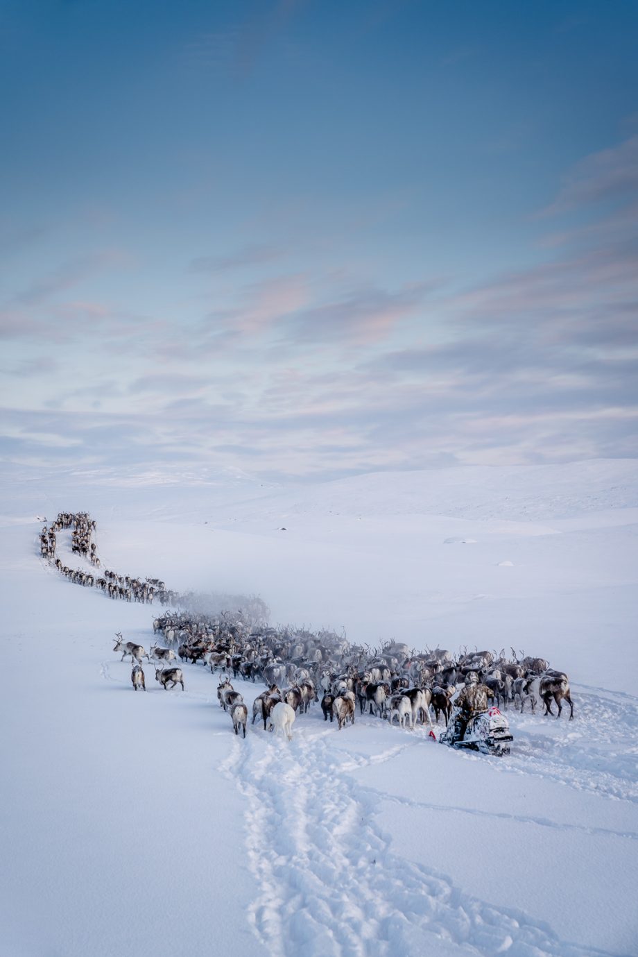 About the indigenous Sami - Sanningskommissionen samer